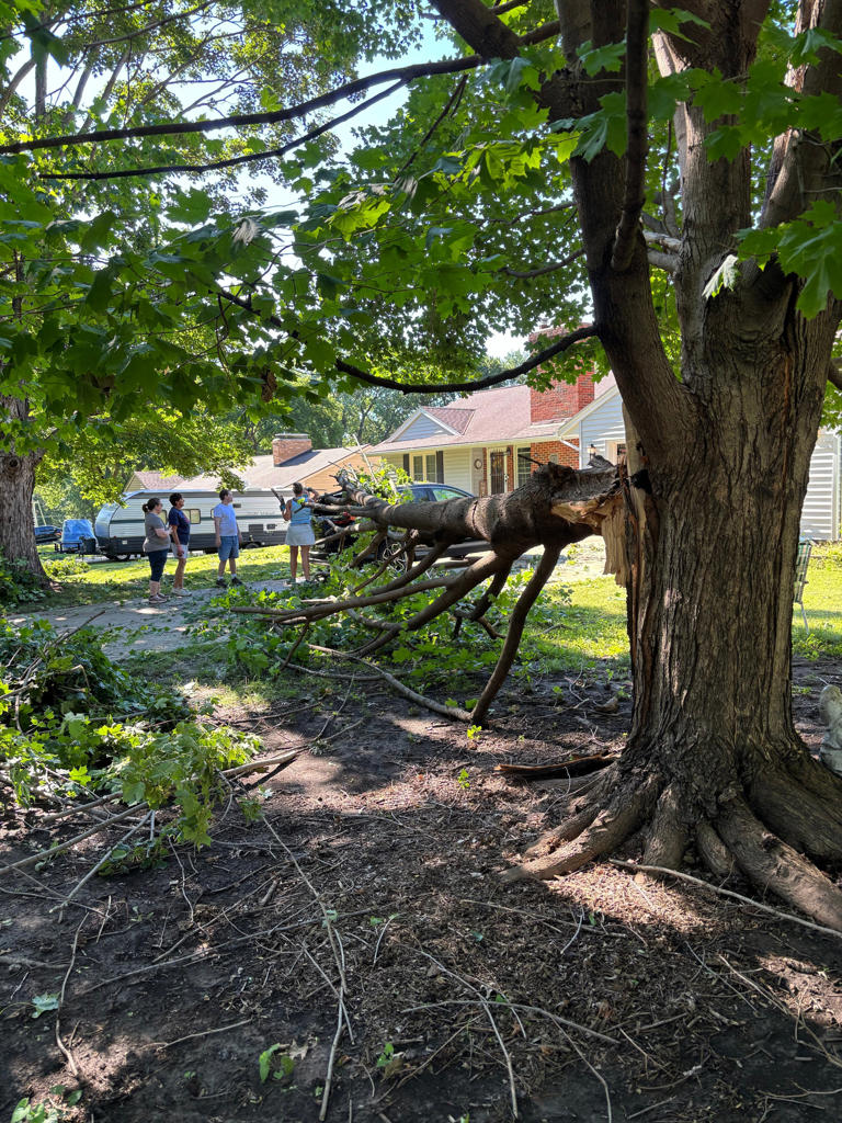 Debris drop-off announced as KC neighbors clean following metro storm