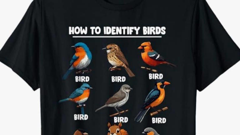 Amazon is selling funny bird watching tees that can still arrive before ...