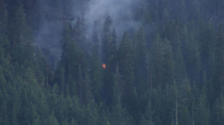 Terrifying moment California fighter jet 'pops' then crashes near Mt ...