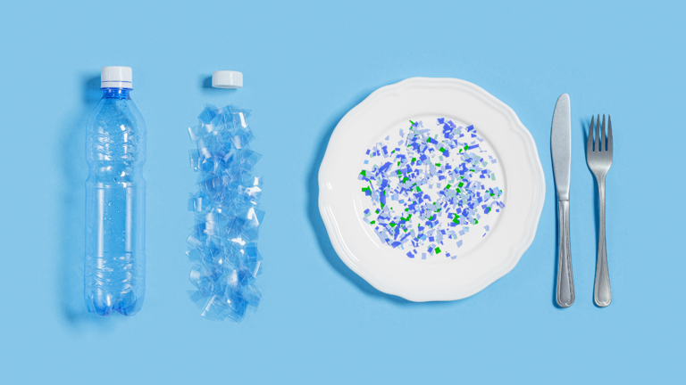 Can microplastics affect your ability to conceive? What fertility ...