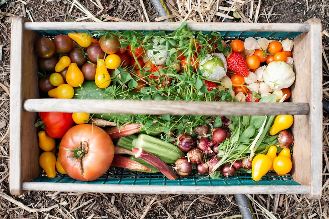 The best vegetables to plant in late summer for a bountiful winter harvest