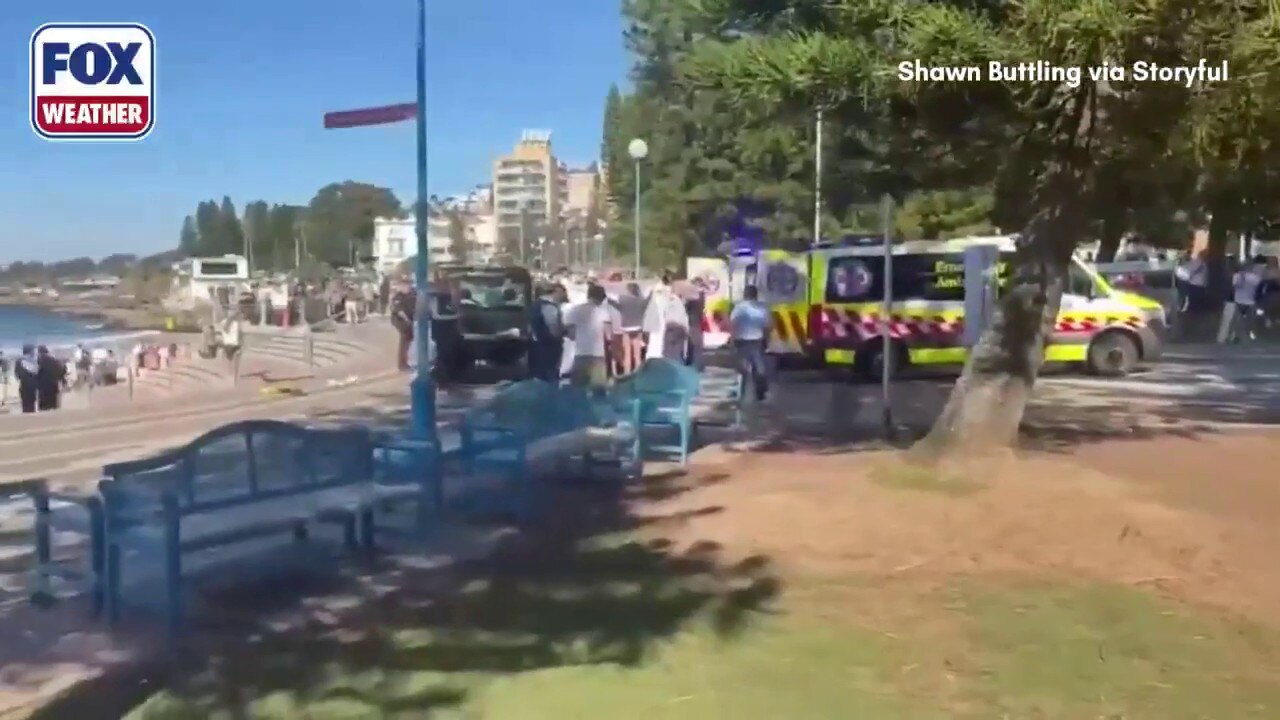 Woman in critical condition after shark attack in Australia