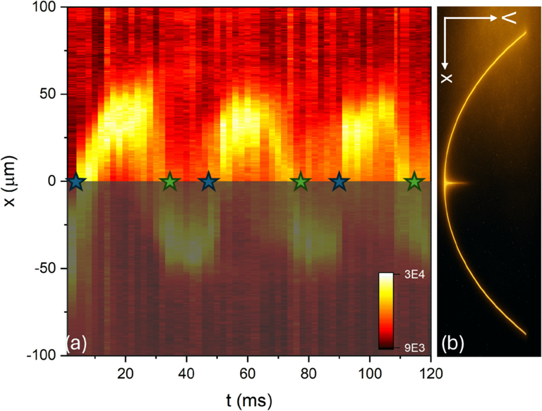 Mini universe built from ultracold atoms measures time without a clock