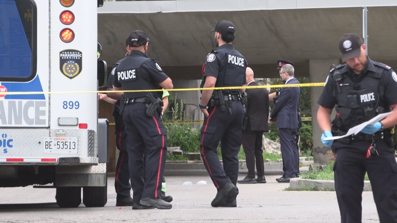1 dead after being struck by vehicle, large fight in North York ...