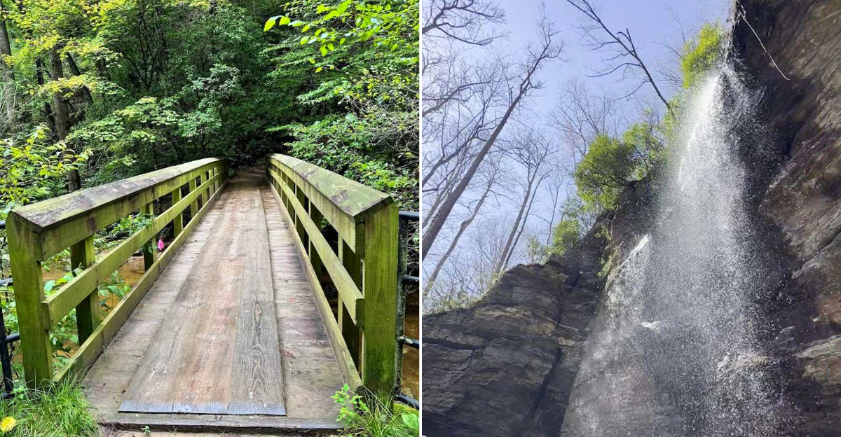 This whimsical North Carolina mountain trail transforms a regular ...