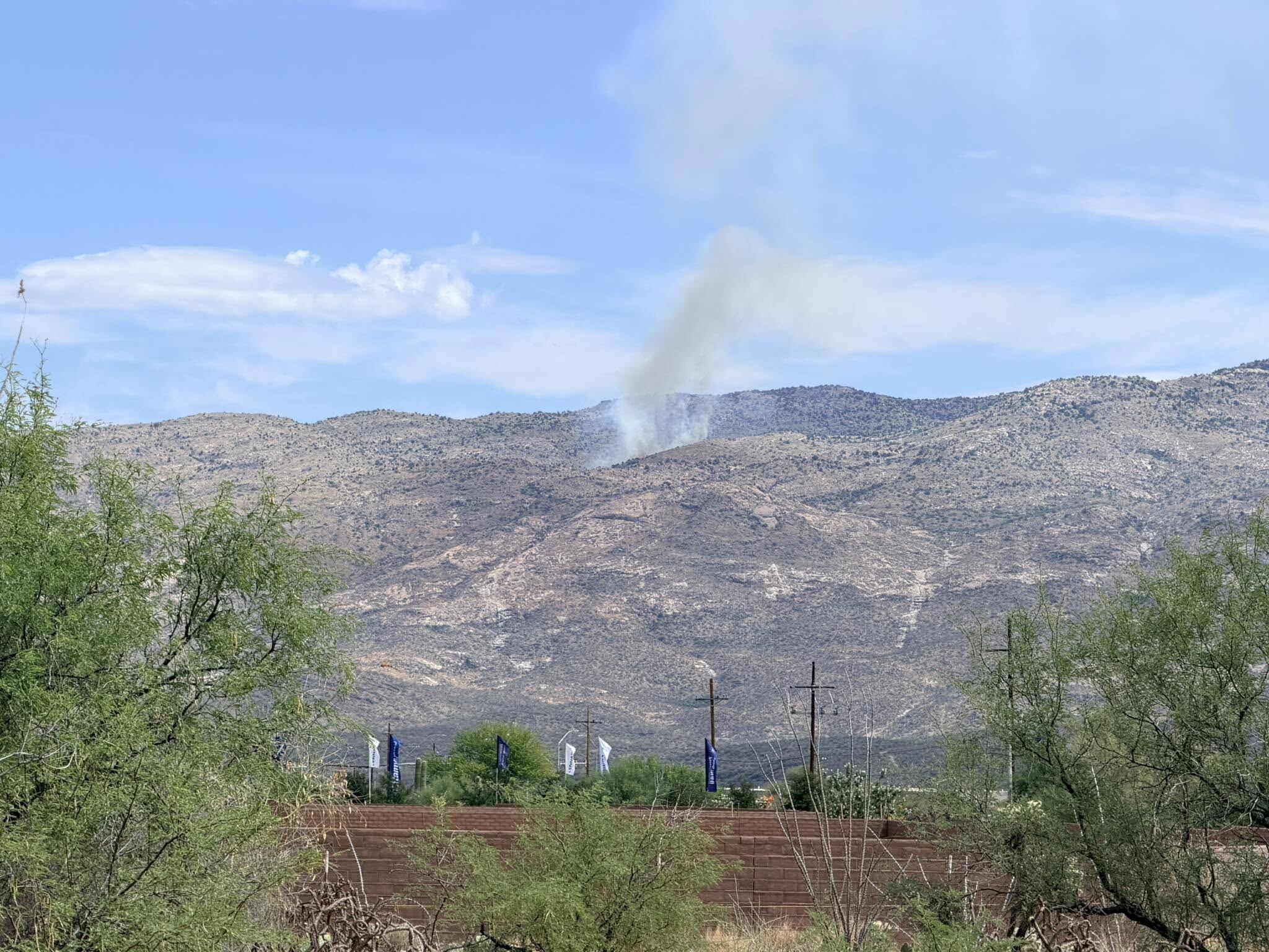 Box Fire burns 135 acres in Saguaro National Park, authorities say