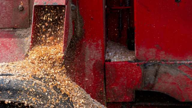 Louisiana fast-tracks boost for wood pellet mills as lawmakers admit ...