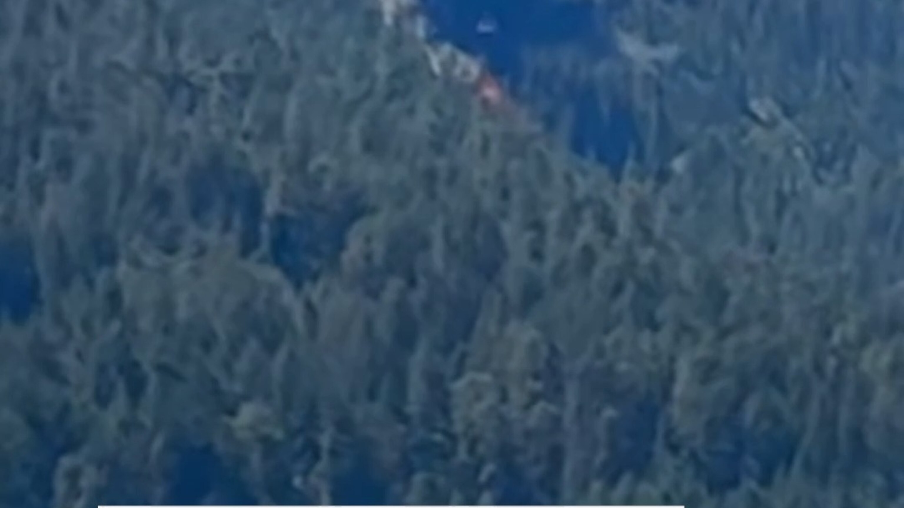 Wildfire ignites after military jet crashes in Washington state woods