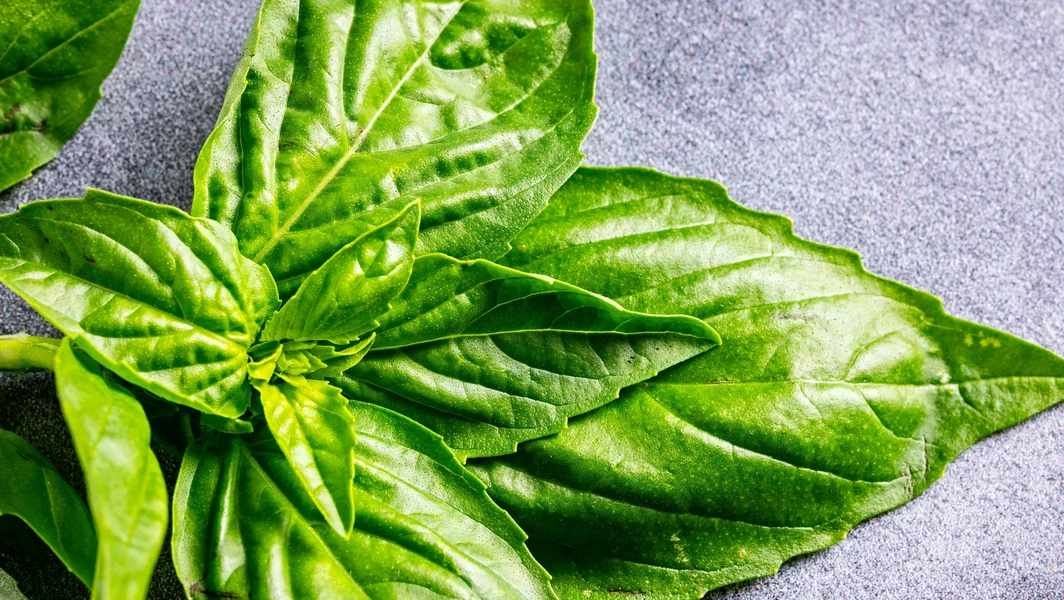 Italian cooking secrets every home chef needs