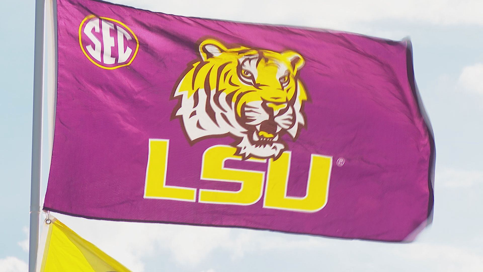 CWS 2026: LSU fans travel to College World Series despite team’s absence