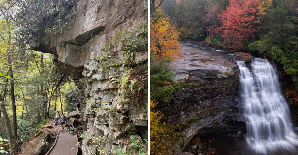 The short Maryland hike that takes you to one of the state’s most ...