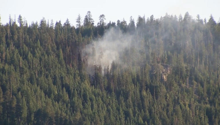 Terrifying moment California fighter jet 'pops' then crashes near Mt ...