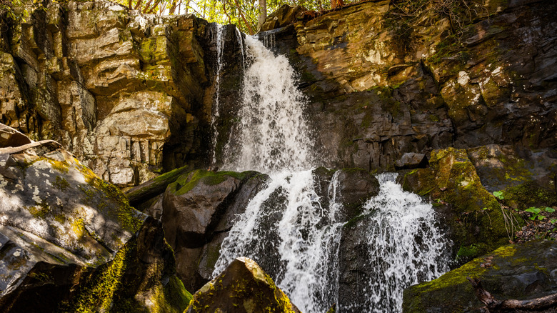 Hidden in Great Smoky Mountains National Park is an overlooked ...