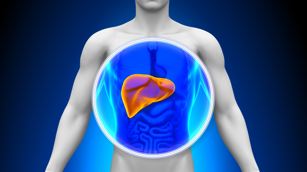 The protein craze: Are high-protein diets and supplements putting your ...