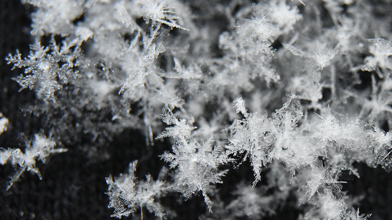 No two snowflakes are believed to ever form in exactly the same way