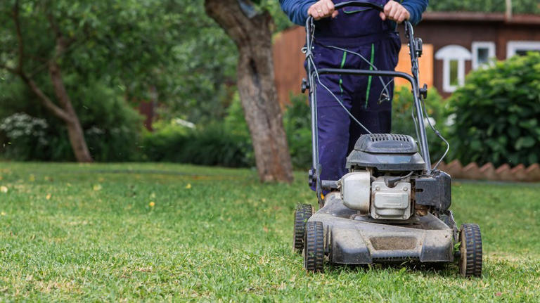 Save on lawn fertilizer: There's a cheaper way to enrich your grass