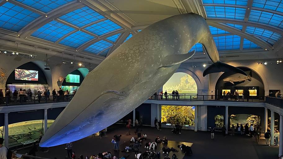 5 museums you need to visit at least once, according to Mental Floss ...