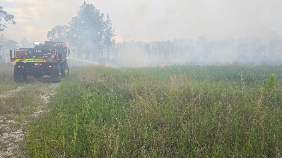 Firefighters contain brush fire after burning 115 acres of land in ...