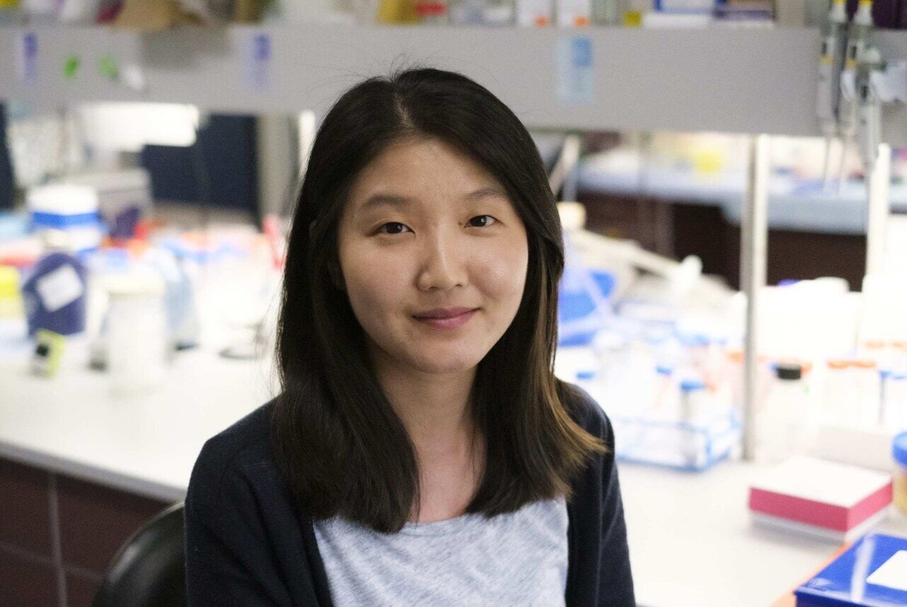 Boosting protein folding could protect insulin-making cells in diabetes