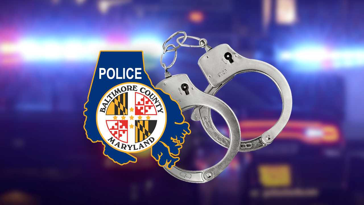 Driver in custody after striking patrol vehicle, police say