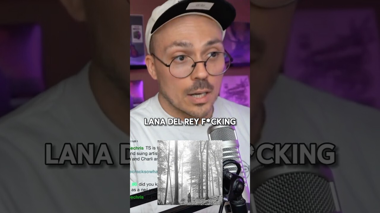 Taylor Swift rips off other artists