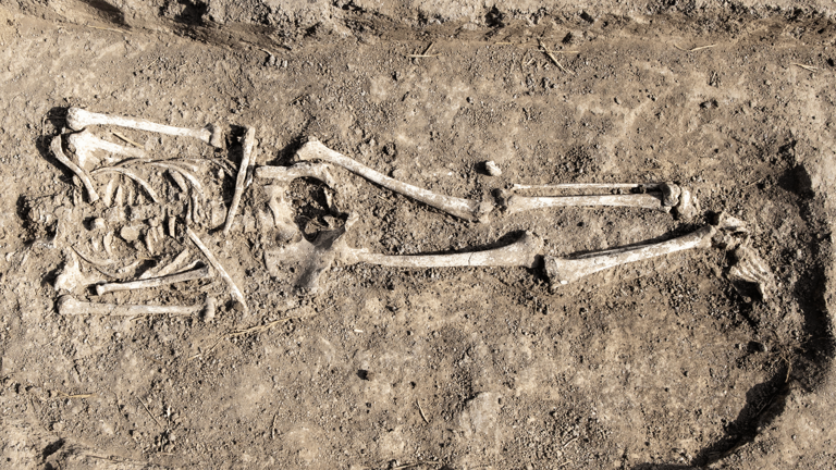 Archaeologists found a 7,000-year-old mass grave filled with 77 ...