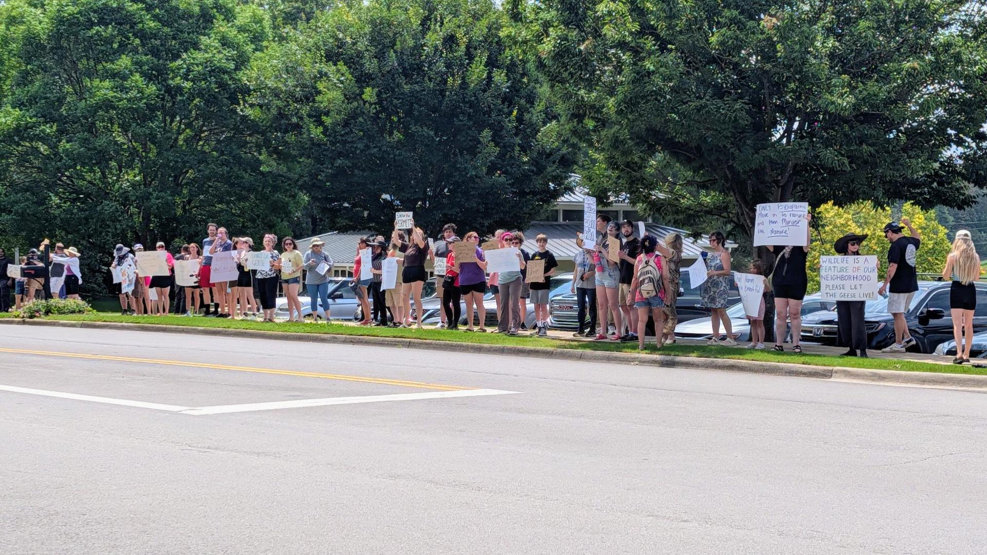 Protesters rally against potential culling of geese in Edgewater community