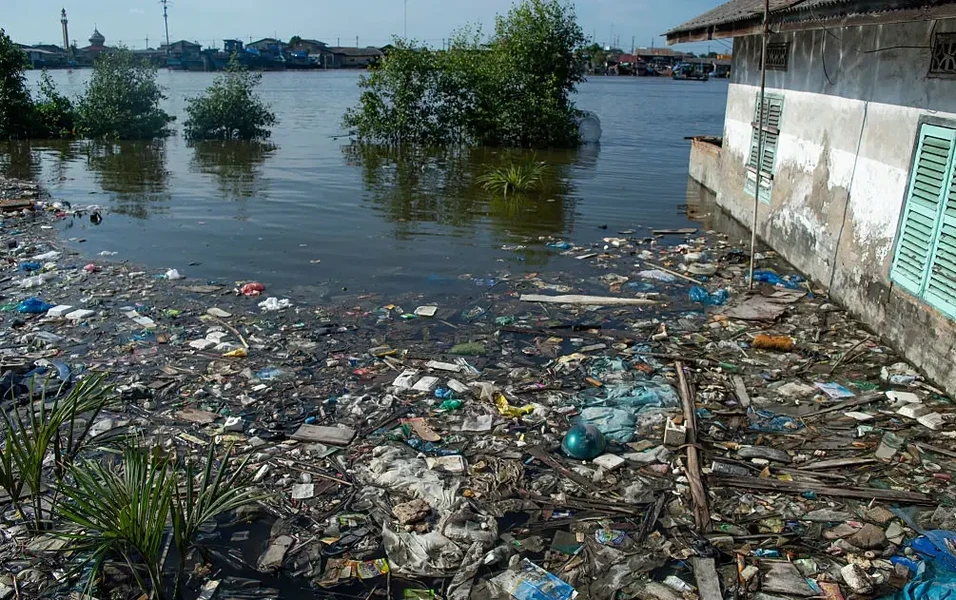 Turning plastic problems into planet-friendly solutions