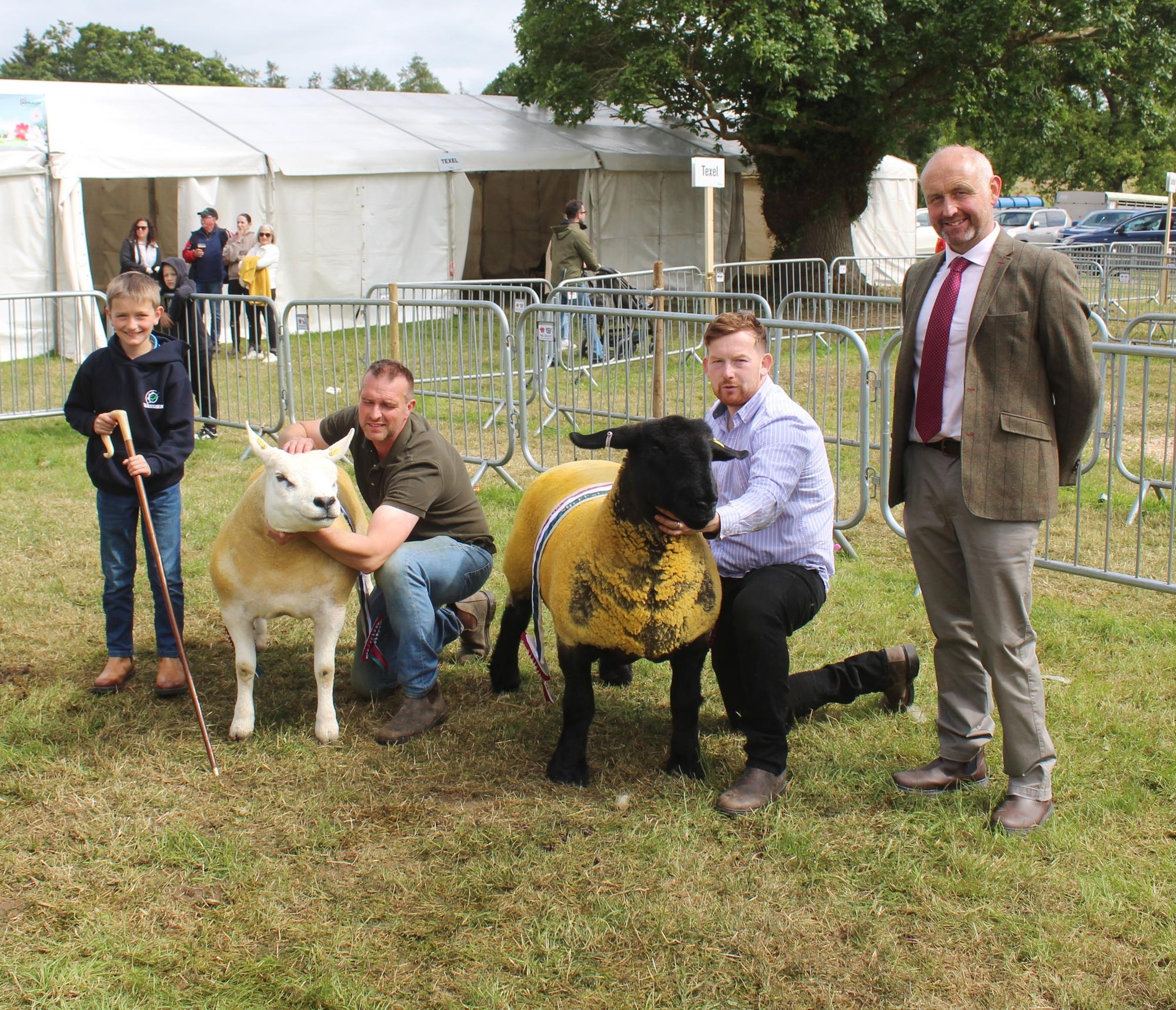 Tremendous turnout of dairy stock for Armagh Show 2026