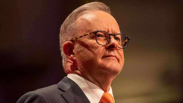 Albanese accused of arrogance as 'Fire the liar' campaign explodes