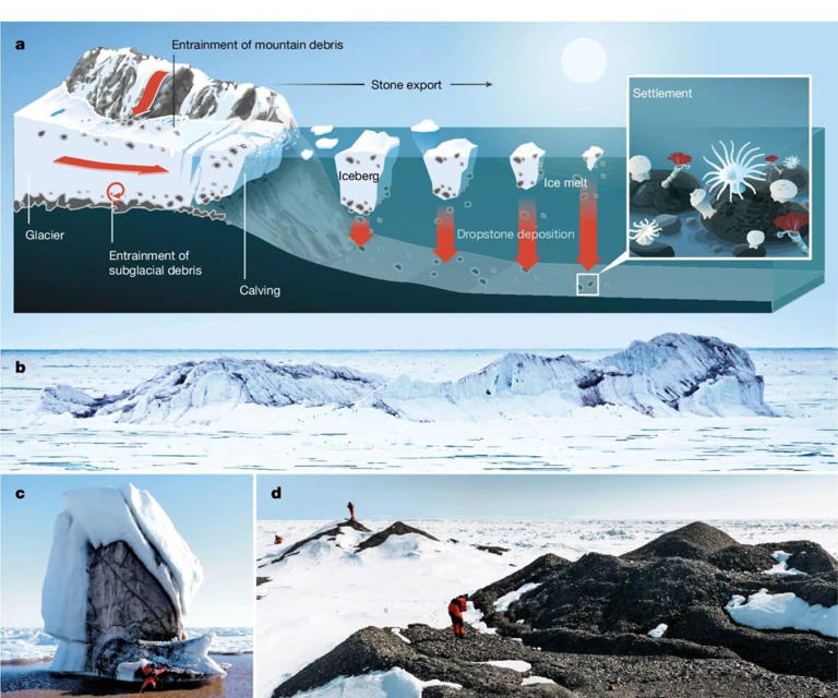 Scientists tracked these strange Arctic icebergs for months, what they ...