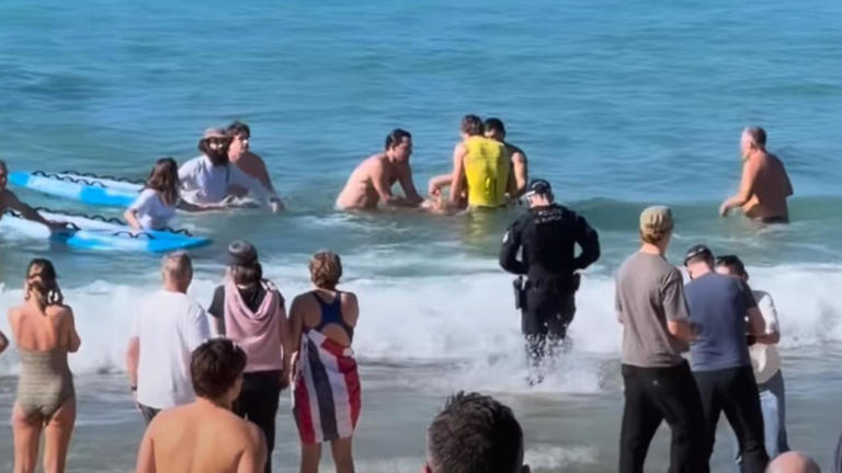 Huge move after Sydney shark attack