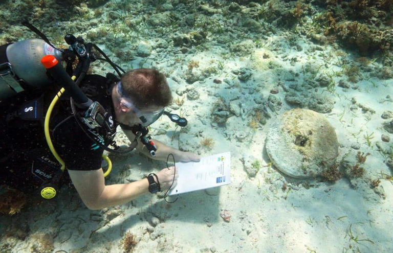 The real “Pirates of the Caribbean”: Nassau pirate wrecks reveal burned ...