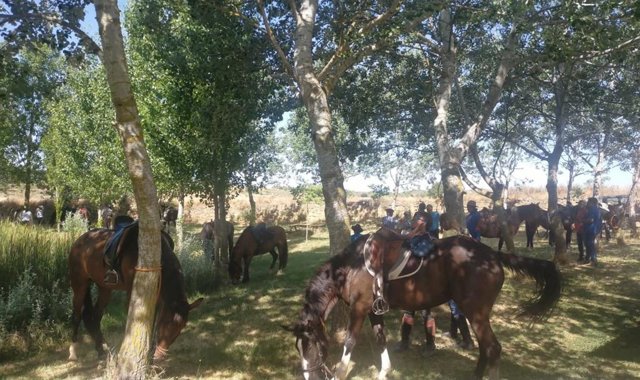 El VI Encuentro Ecuestre Trotacalles reúne 30 de caballos y numerosos ...