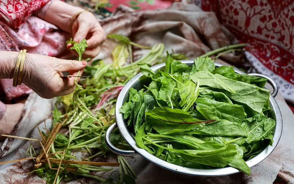 Daily spinach habit offers major health benefits, experts say