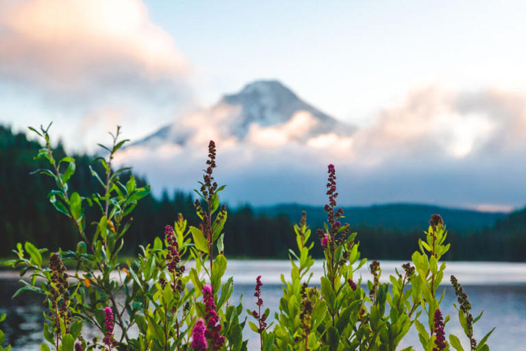 Best places to watch the sunset on the West Coast: 15 spots that’ll ...