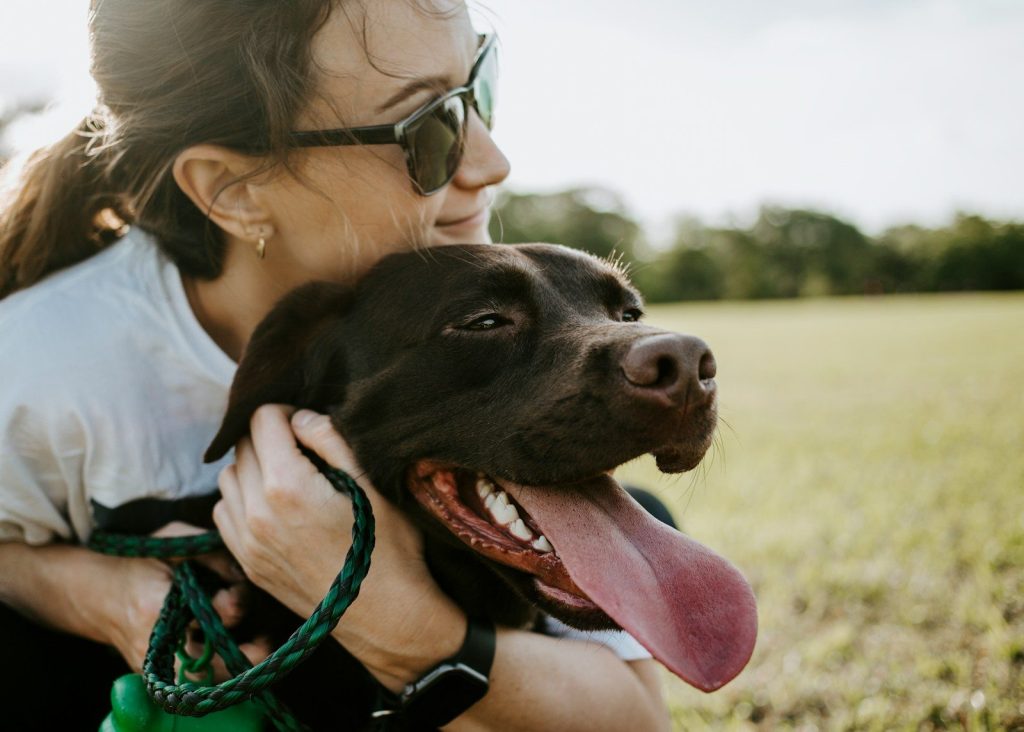 Dogs can tell the difference between 'yes' and 'no' in your voice