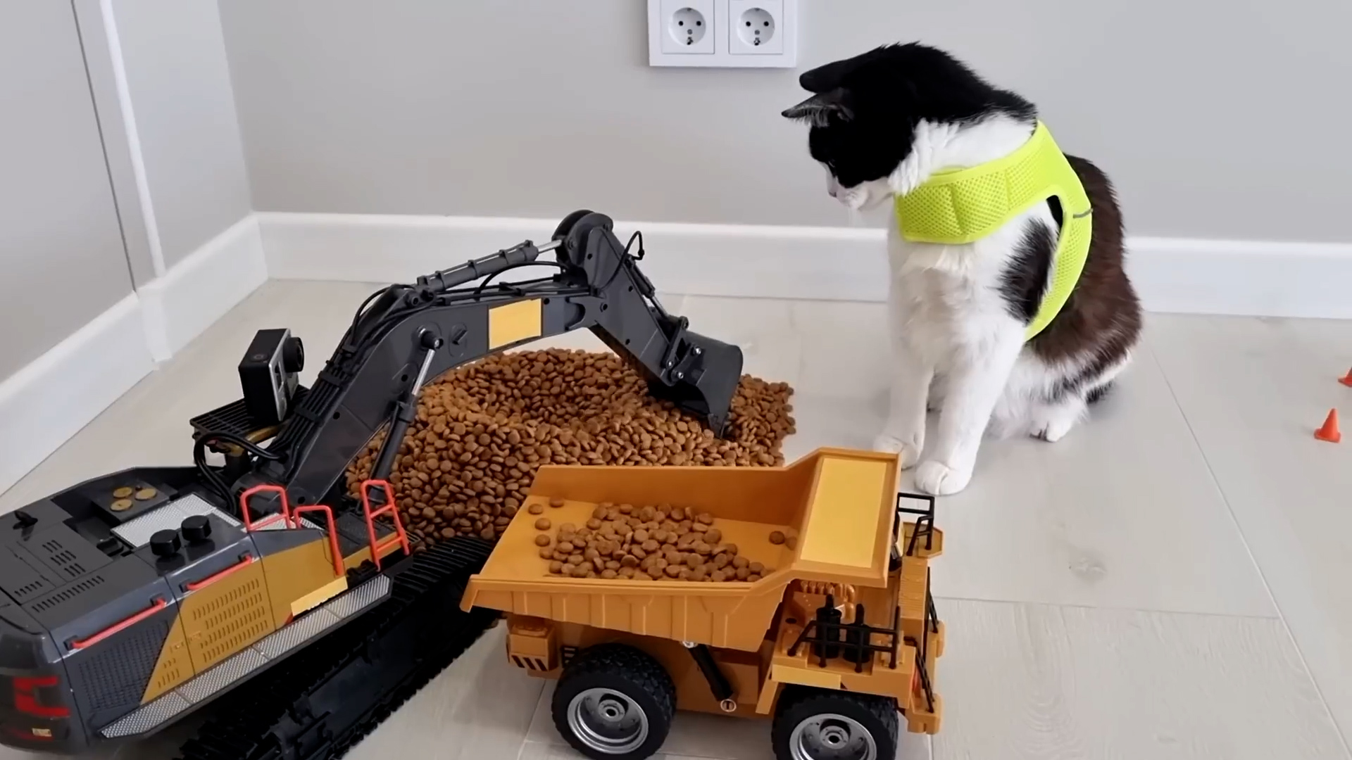 Cat takes construction job for big money
