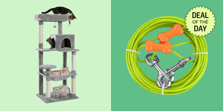 Walmart’s secret pet sale has up to 70% off must-haves for your furry ...