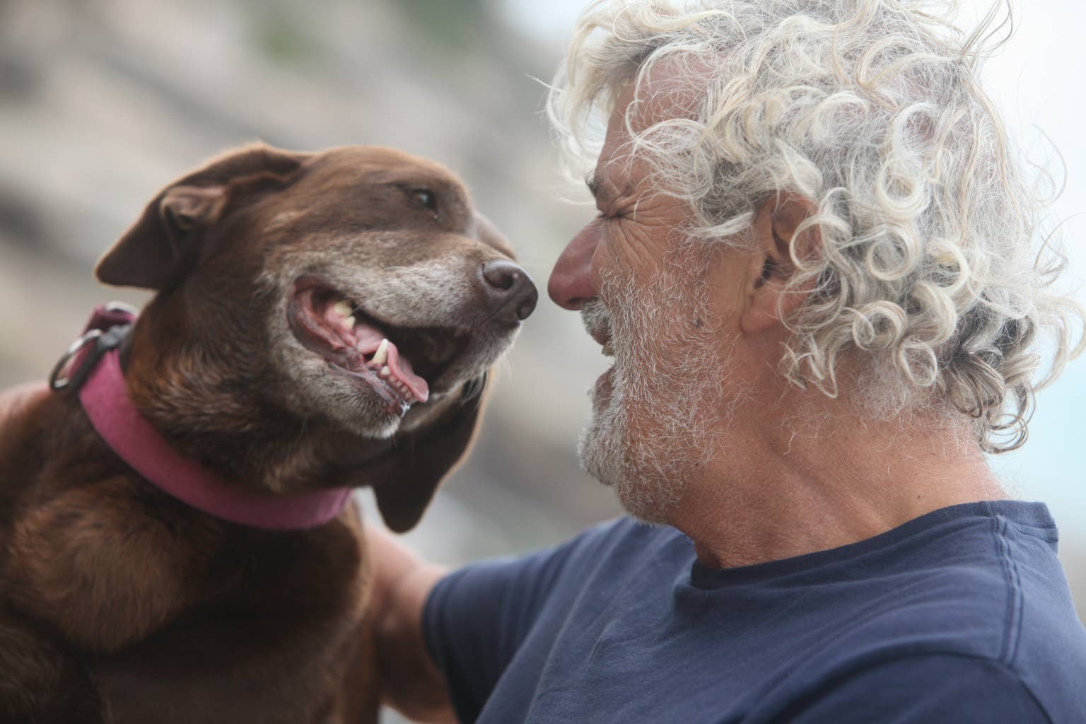 New dog supplement targets one of the biggest challenges senior pets face