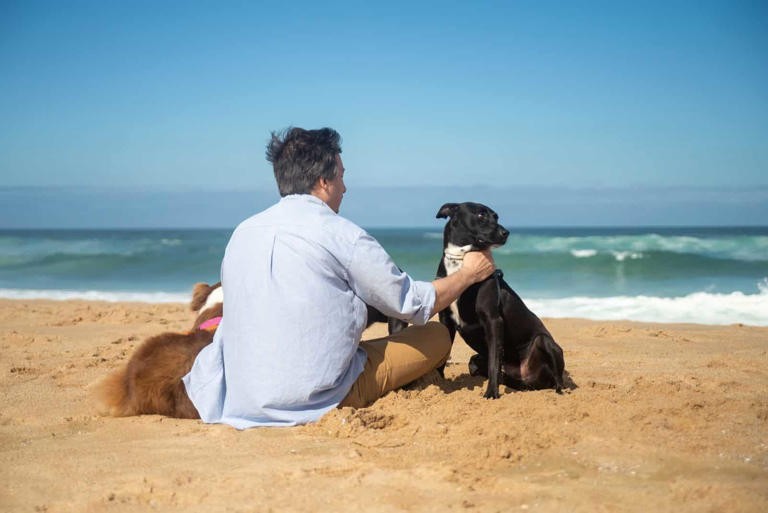Honden en mensen lijken meer op elkaar dan gedacht: we delen dezelfde ...