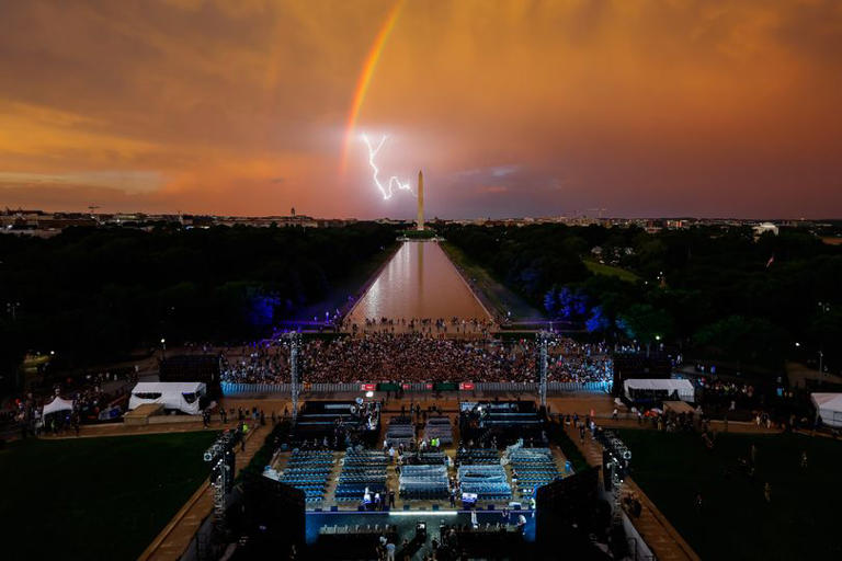 Extreme swarm of insects and rain could spoil Donald Trump's UFC ...