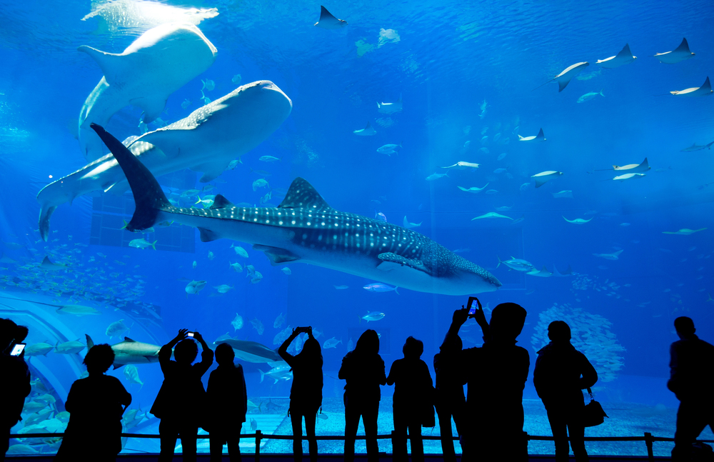 18 field trip destinations that felt magical