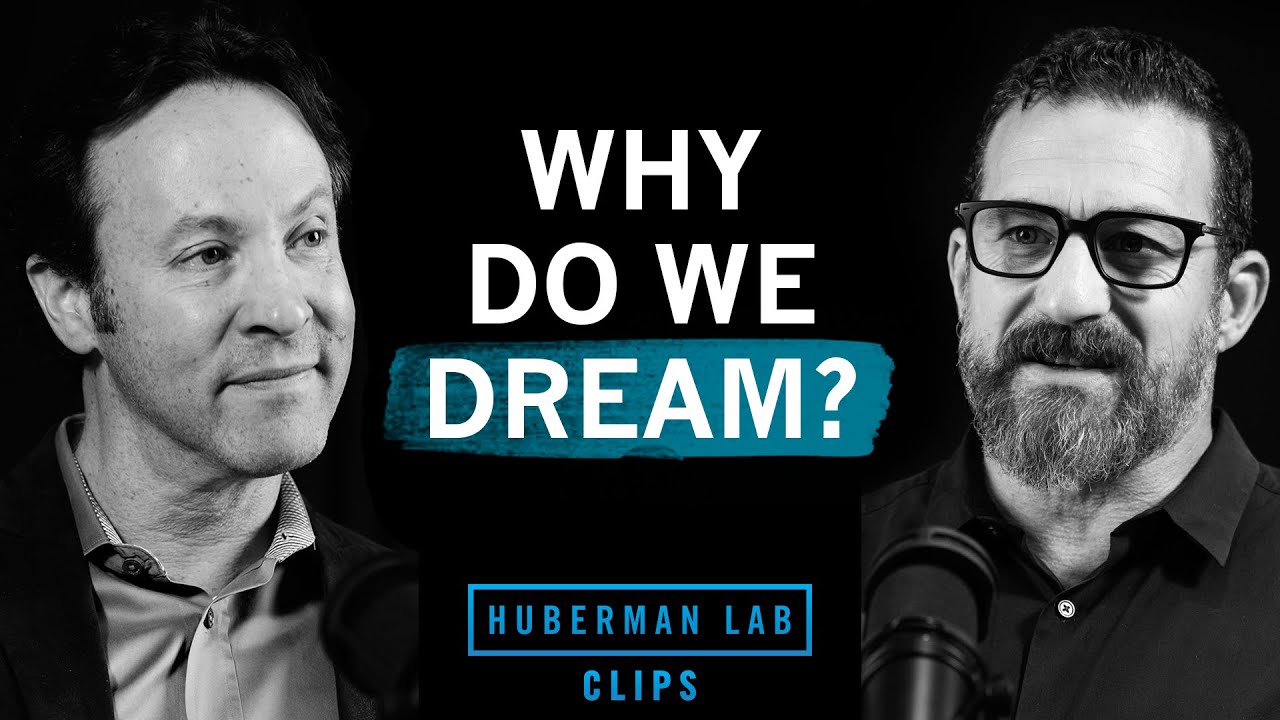 Why do we dream? | Dr. David Eagleman & Dr. Andrew Huberman