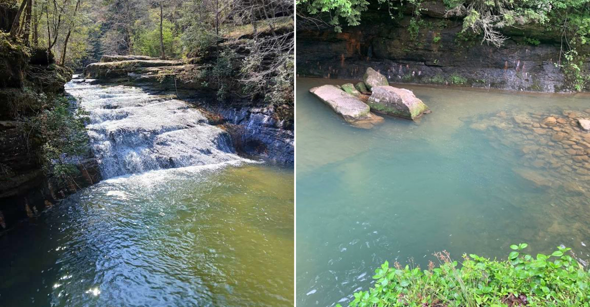 You can swim right under the crashing cascades of this Alabama national ...