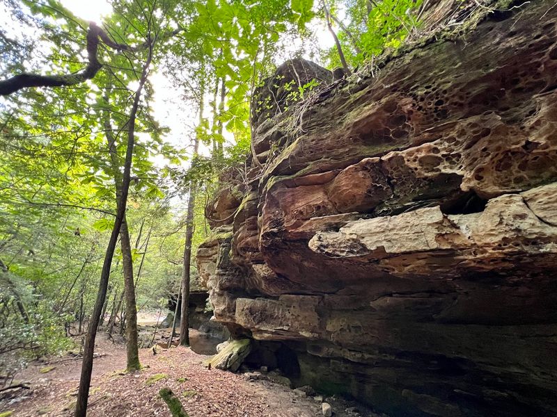 You can swim right under the crashing cascades of this Alabama national ...
