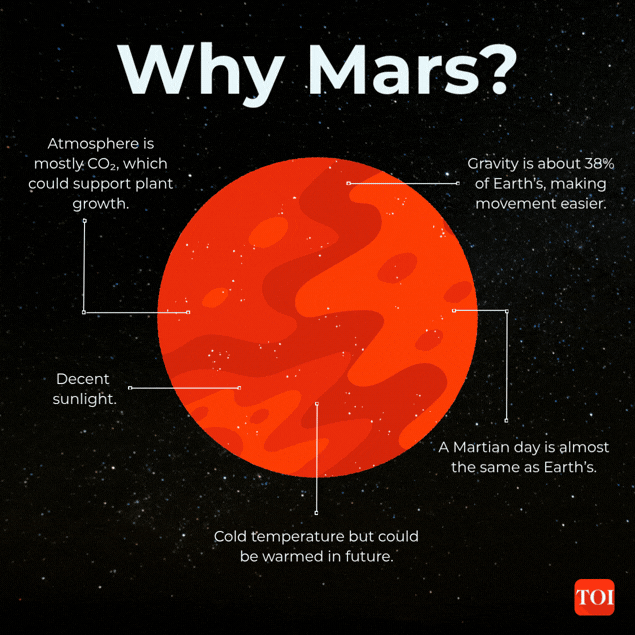 To Mars with Elon Musk: Can world's first trillionaire take you to the ...