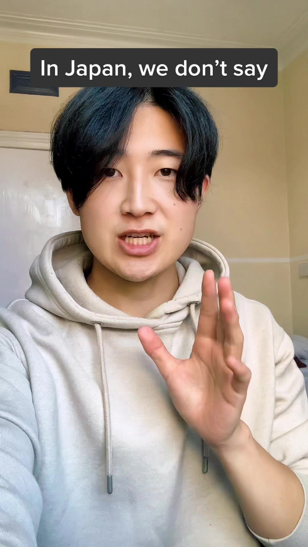 What Japanese people say when they do not understand you