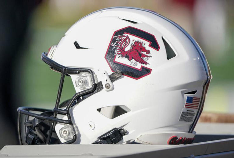Gamecock running back arrested, facing five charges
