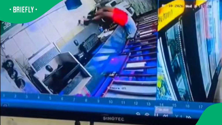 Acrobatic thief slips through burglar bar to steal booze, South Africa ...